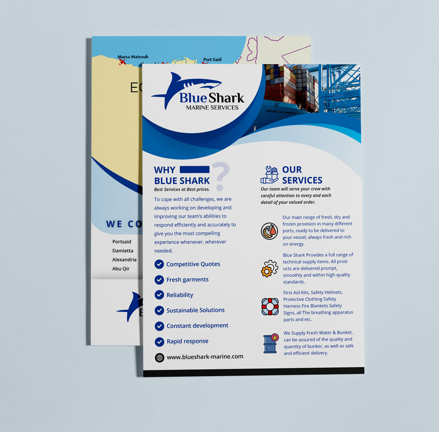 Blue Shark Flyer - Logic